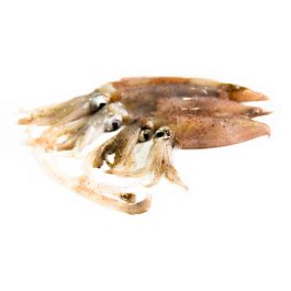 Comprar Online Chopito - Cefalópodo | Pescaderías Coruñesas